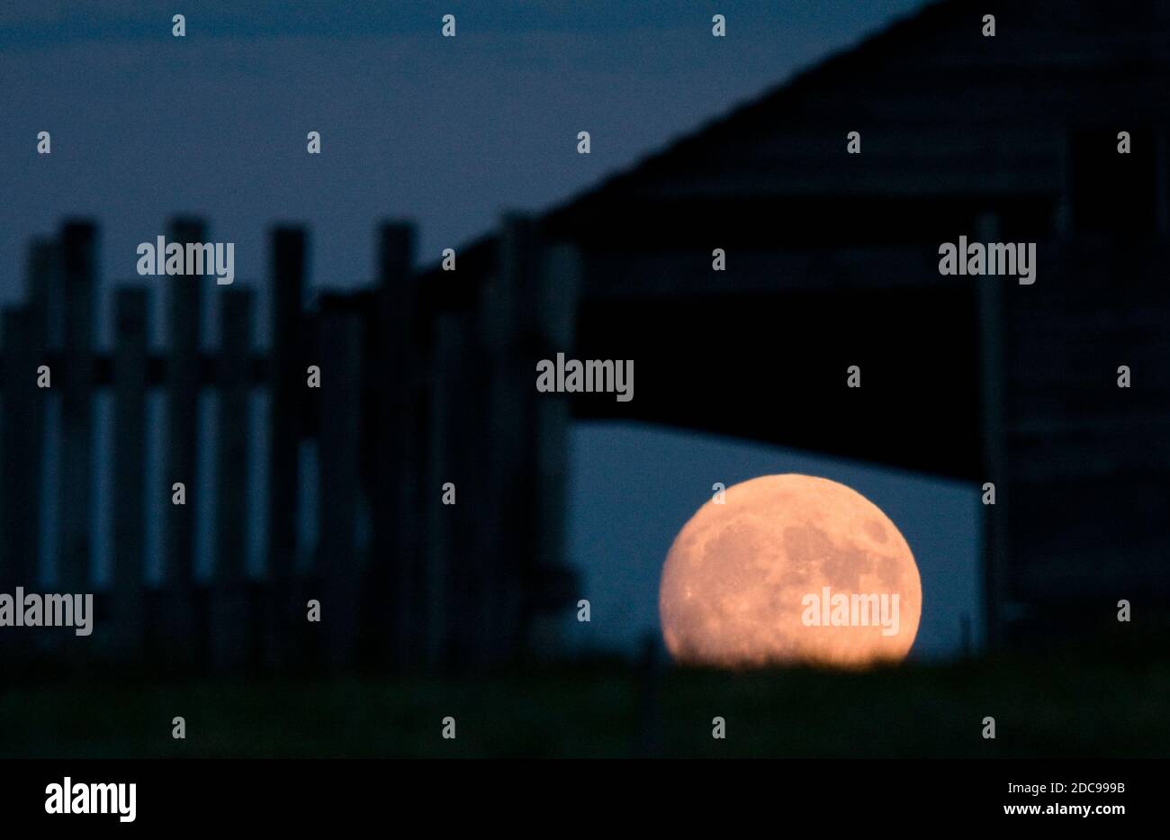 Full Moon Through Barn in Saskatchewan Canada Stock Photo - Alamy