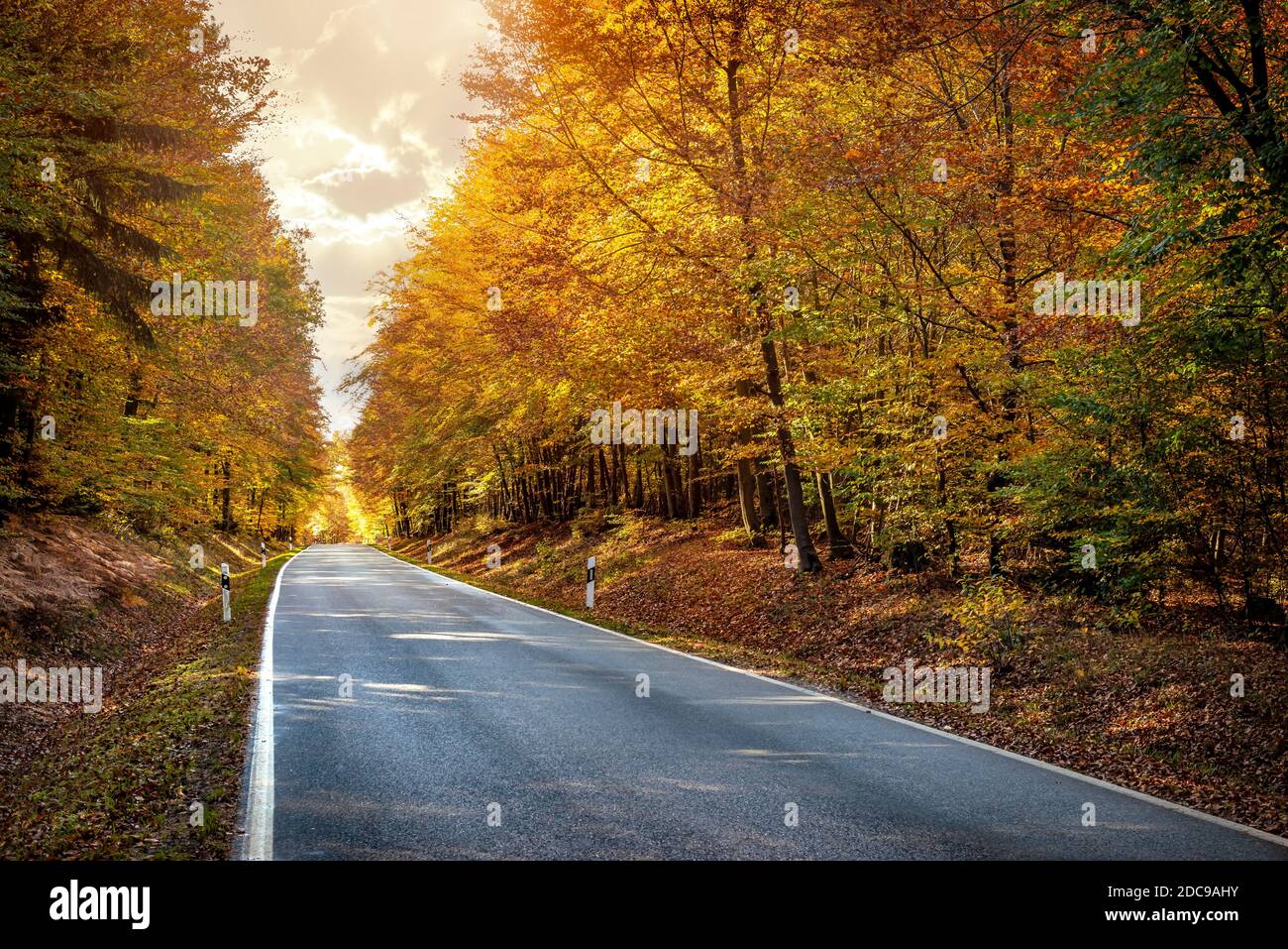 Fall scenic road in europa Stock Photo - Alamy