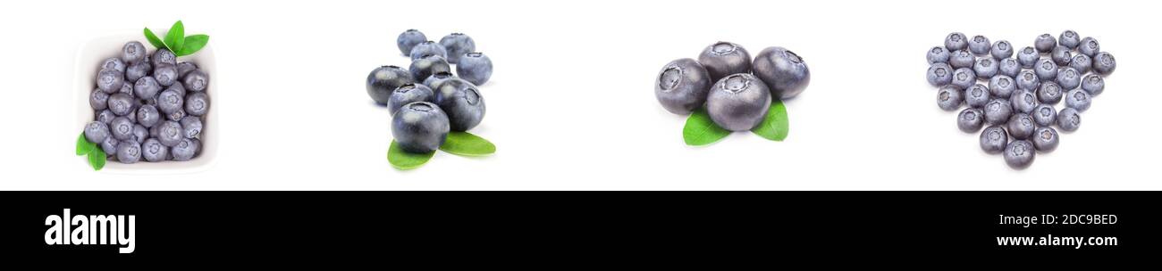 Collage of fresh blueberry isolated on white Stock Photo - Alamy