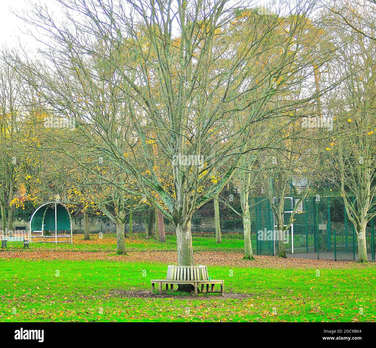 Round bench in a park Stock Photo - Alamy