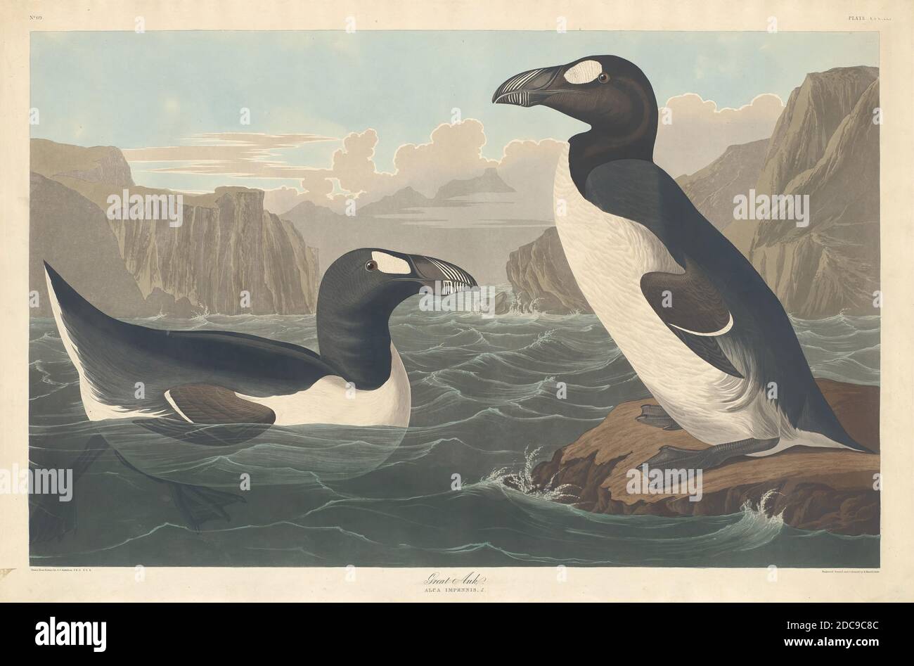 Robert Havell, Jr., (artist), American, born England, 1793 - 1878, John ...