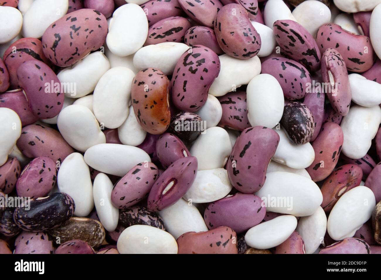 Nutrition texture hi-res stock photography and images - Alamy