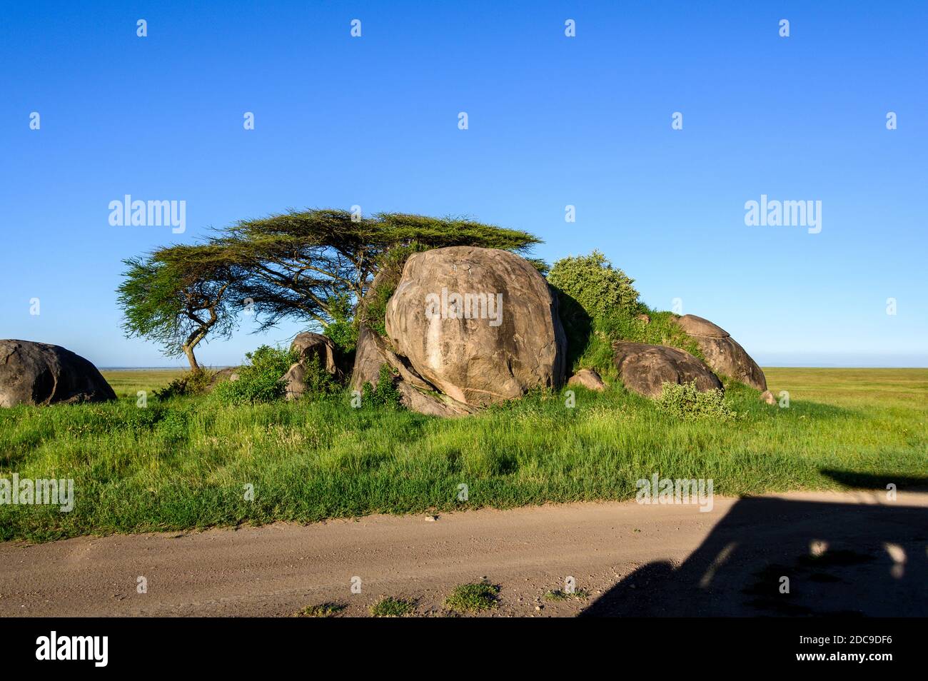 Beautiful Kopje with trees and shrubs in a savanna landscape, safari ...