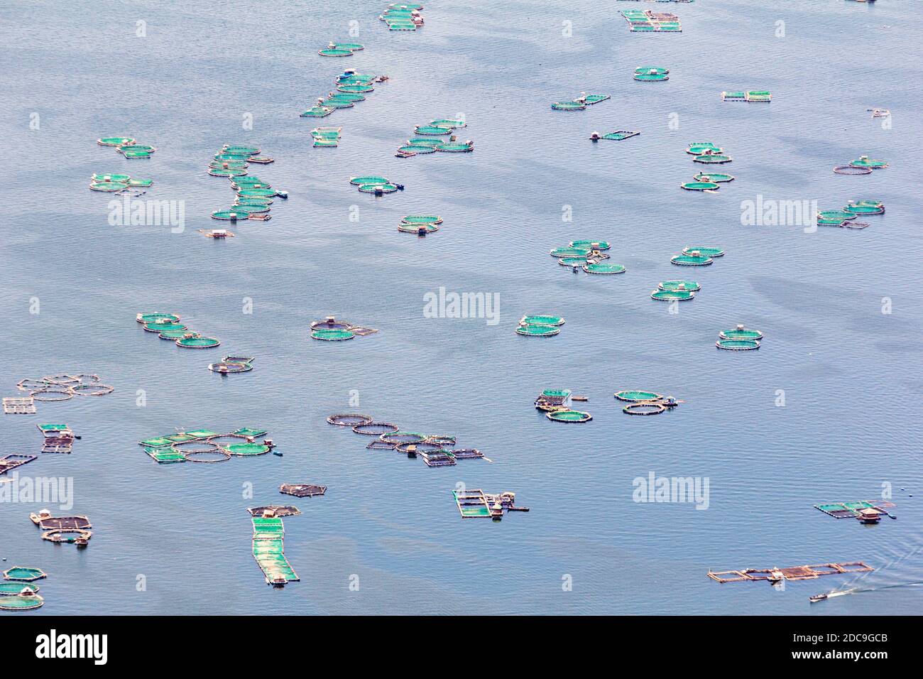 Fish pens scattered on the surface of Taal Lake in the Philippines ...