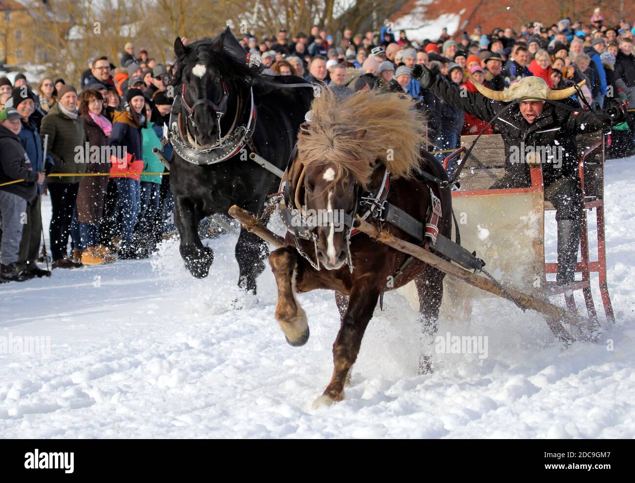 Horse sleigh races hi-res stock photography and images - Alamy