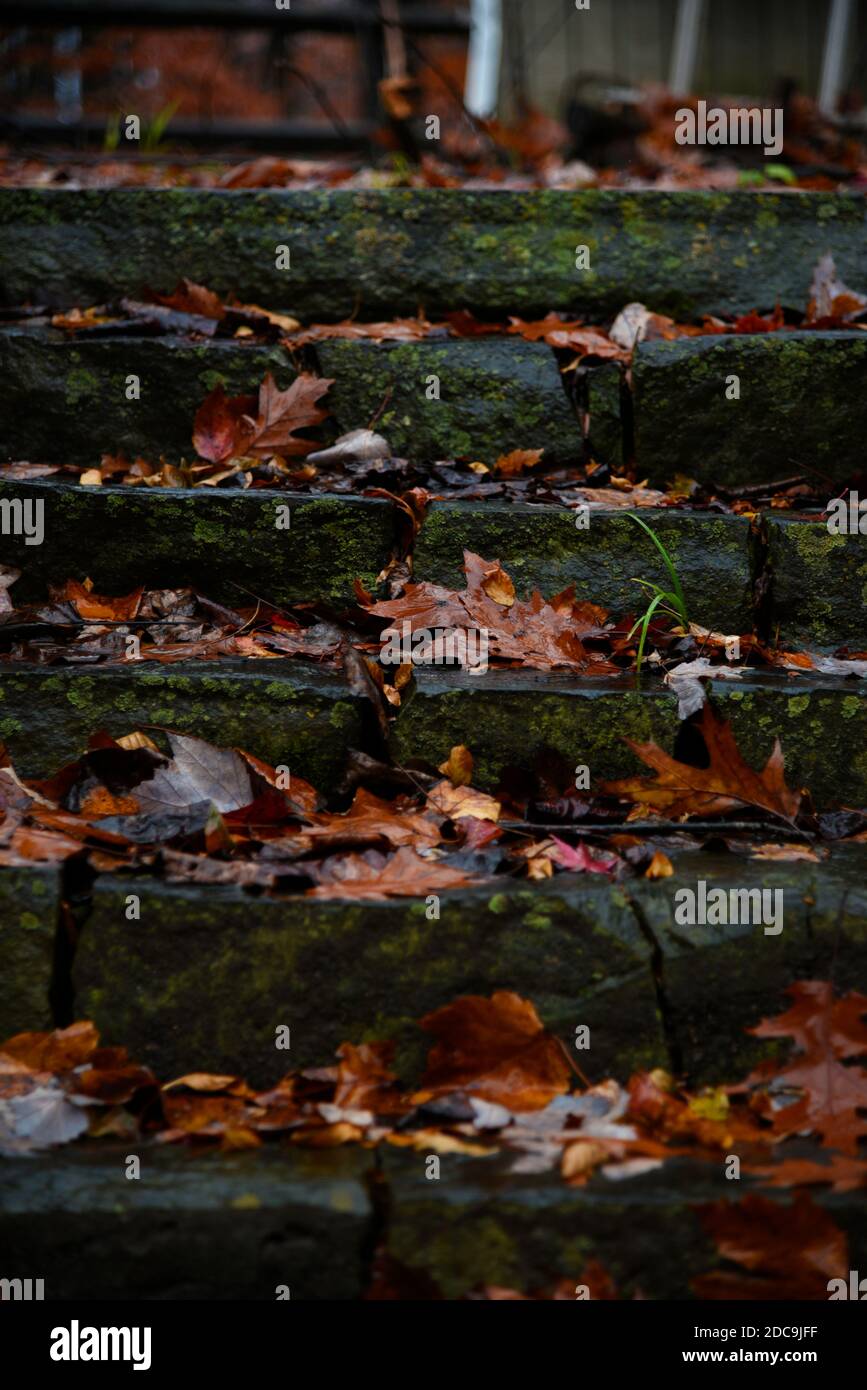 Japanese stop stone hi-res stock photography and images - Alamy