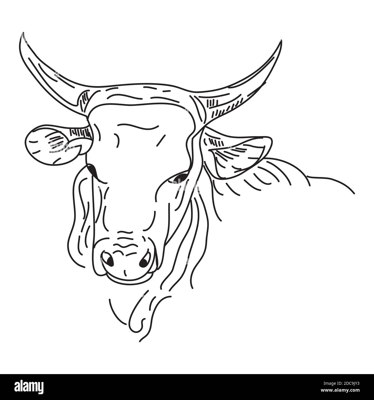 Hand drawn of an ox. 2021 zodiac. Line art Stock Vector Image & Art - Alamy