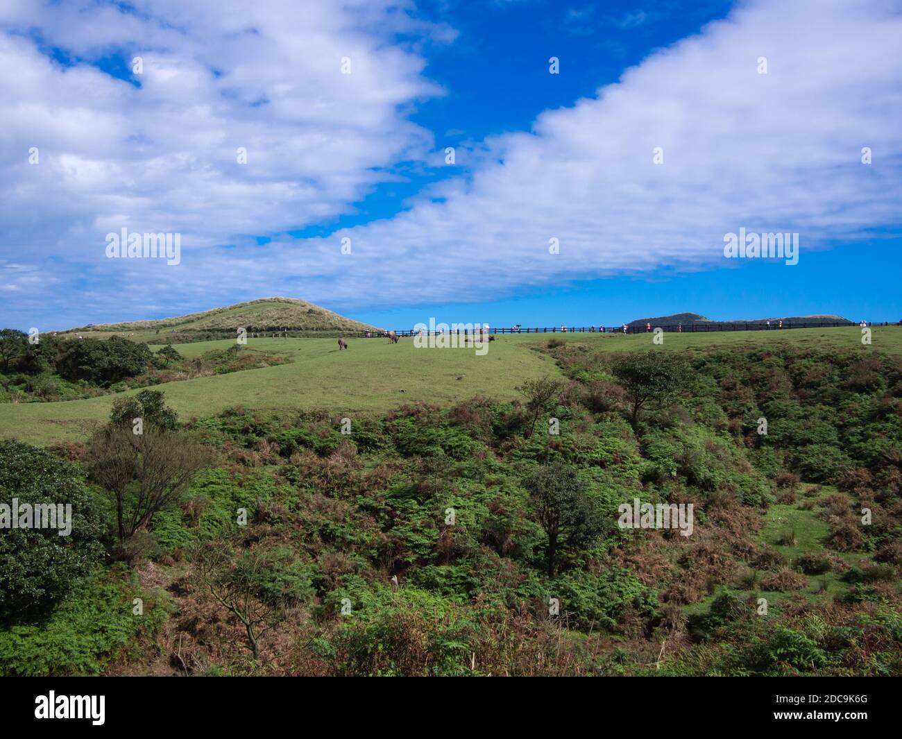 Qingtiangang Grassland at Yangmingshan National Park in Taipei, Taiwan ...