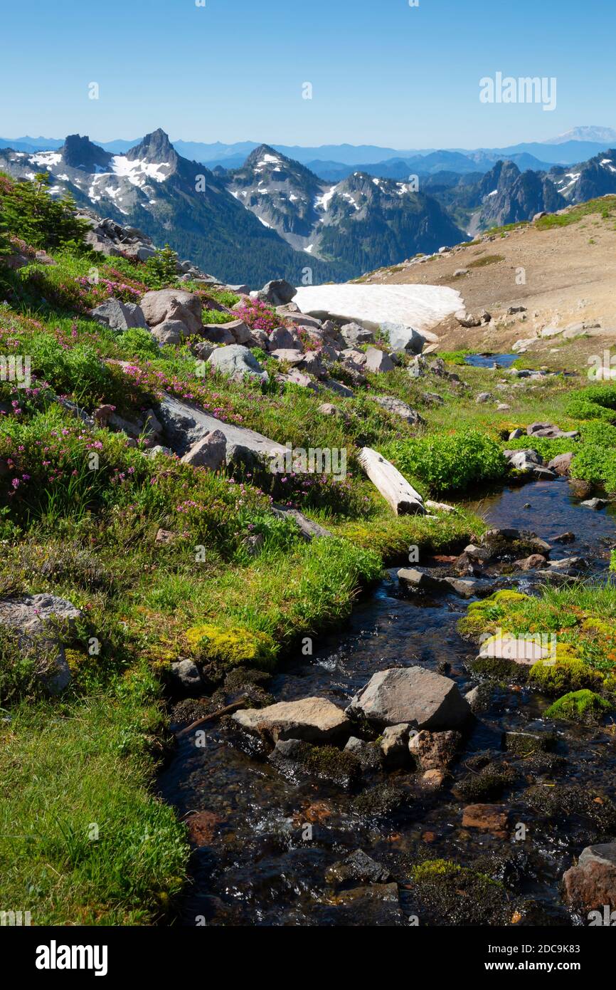 WA18273-00...WASHINGTON - Small creek along the Skyline Trail with view ...