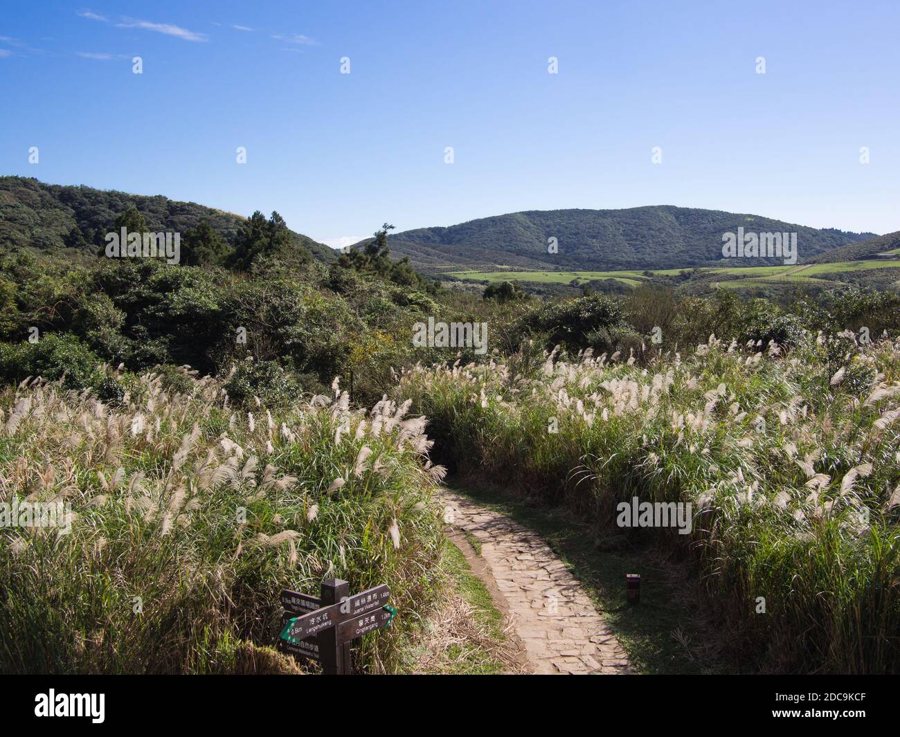 A hiking trail at Yangmingshan National Park in Taipei, Taiwan Stock ...