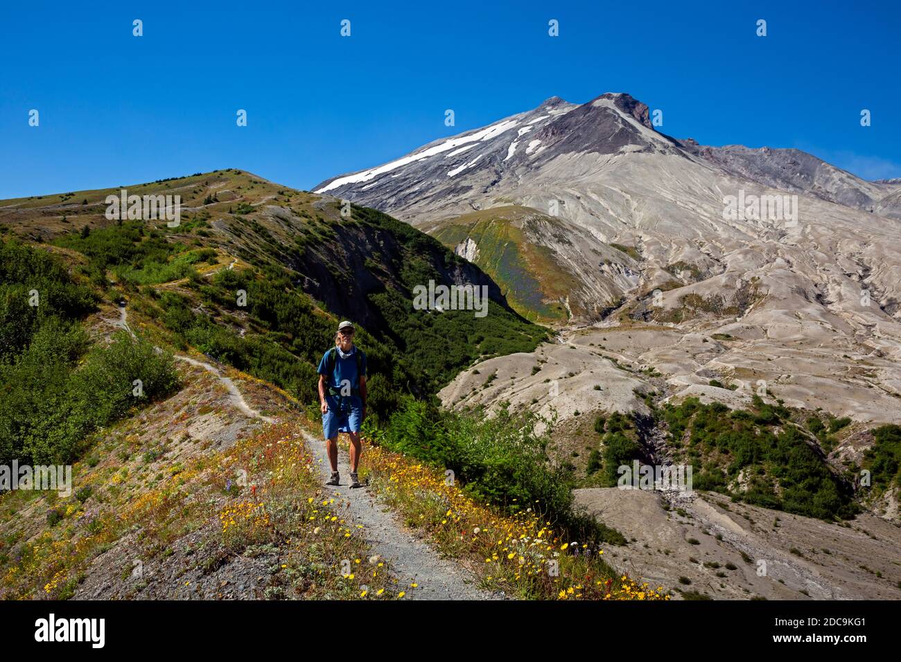WA18300-00...WASHINGTON - Hiker exploring the Mount St Helens National ...