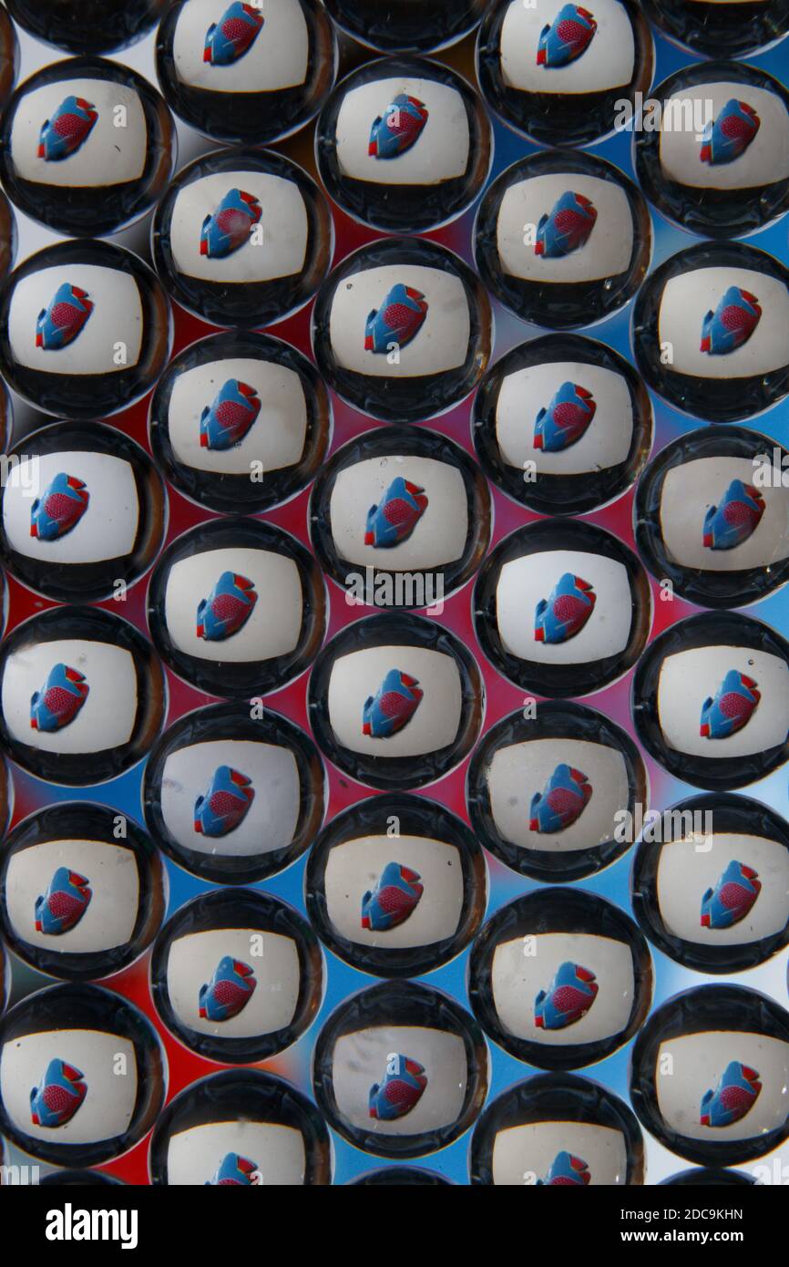 tropical fish refracted through glass balls Stock Photo - Alamy