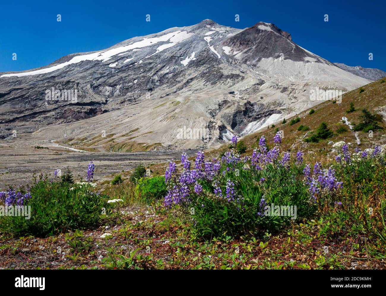 Volcanic plains hi-res stock photography and images - Alamy