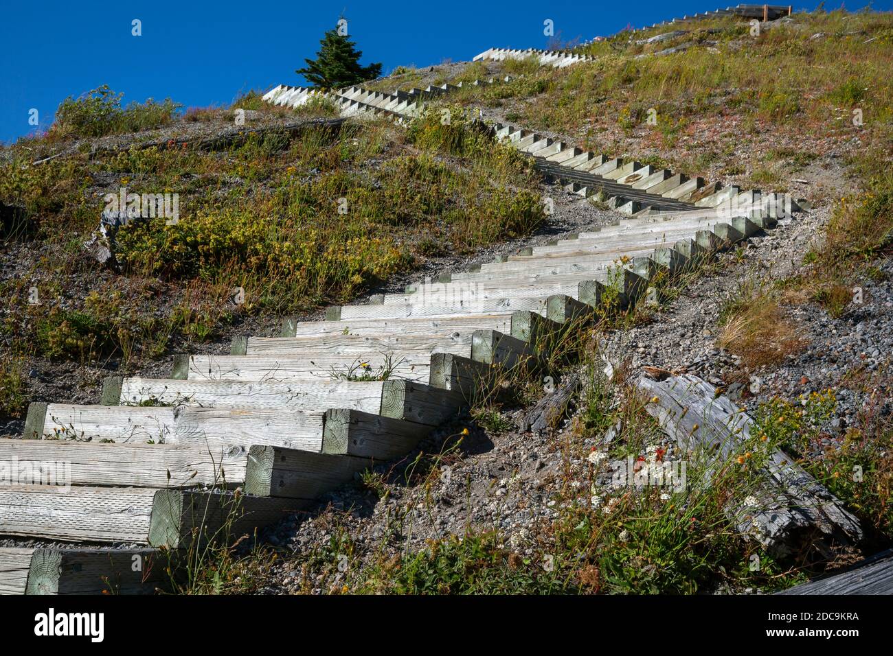 WA18313-00...WASHINGTON - Trail to Windy Ridge viewpoint in the Mount ...