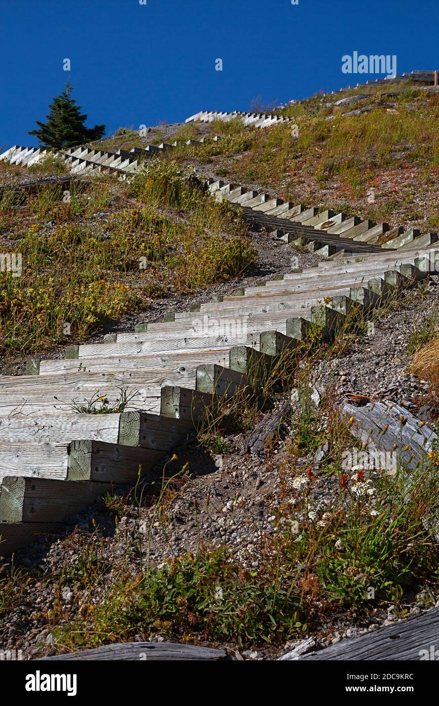 WA18314-00...WASHINGTON - Trail to Windy Ridge viewpoint in the Mount ...