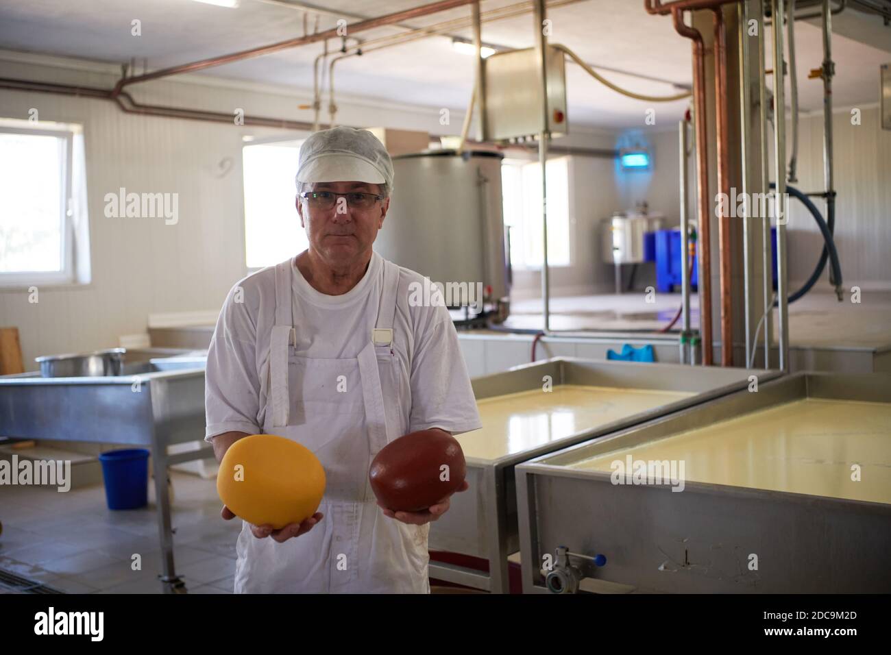 Cheese production cheesemaker working in factory Stock Photo - Alamy
