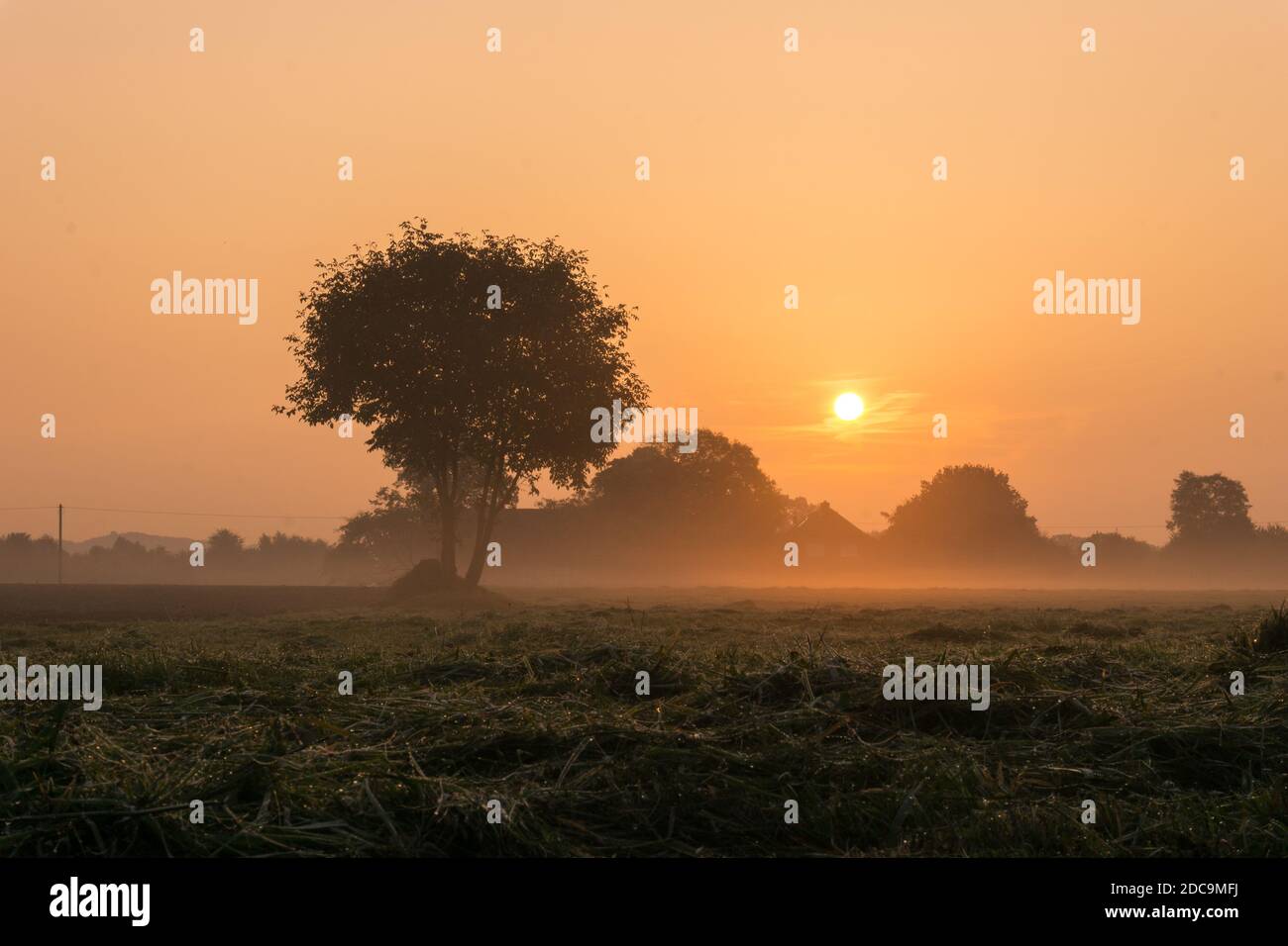 Mowed over hi-res stock photography and images - Alamy