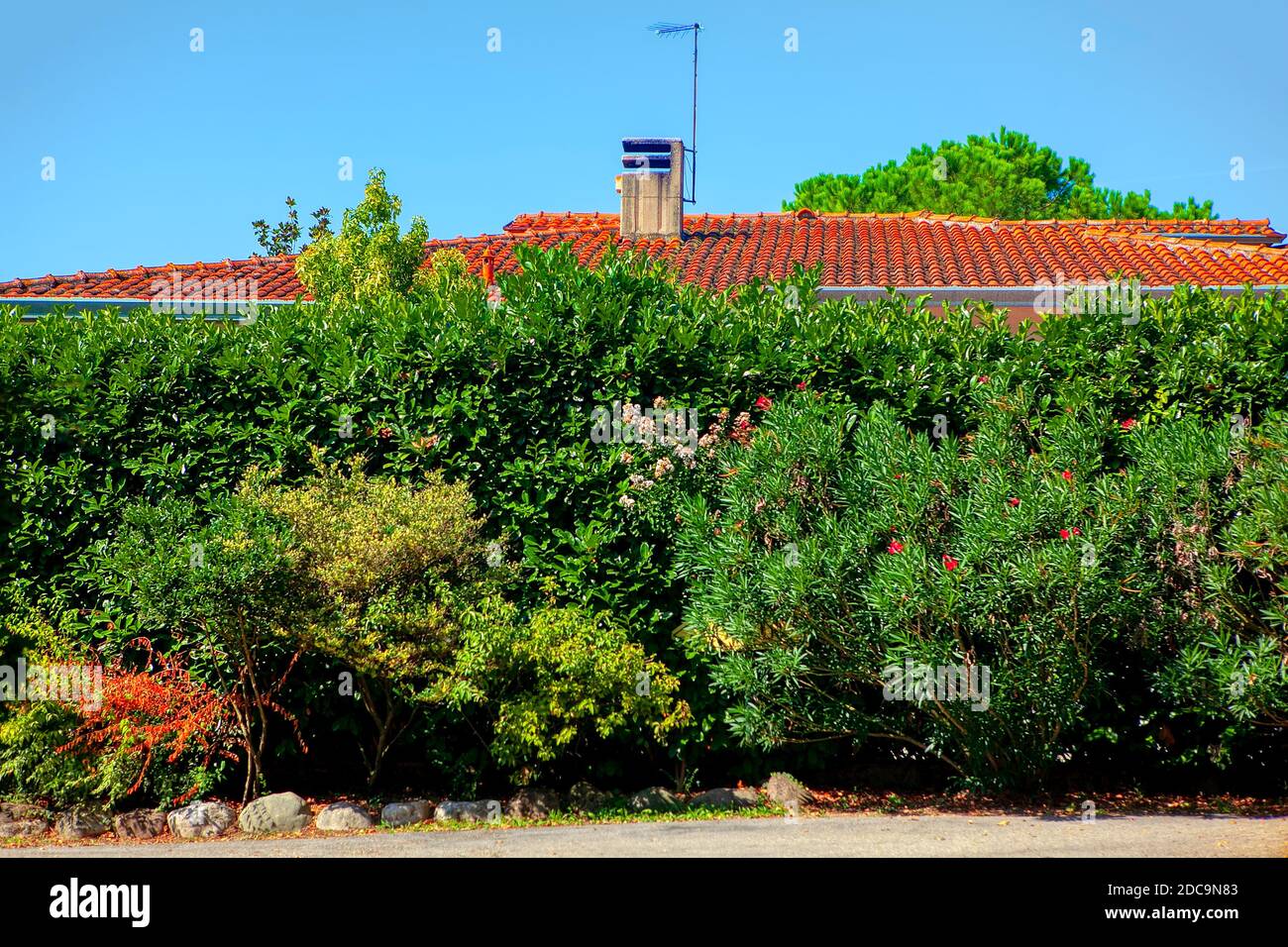 Green Tiled Roof High Resolution Stock Photography and Images - Alamy