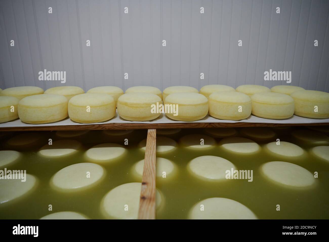 Cheese factory production shelves with aging old cheese Stock Photo - Alamy