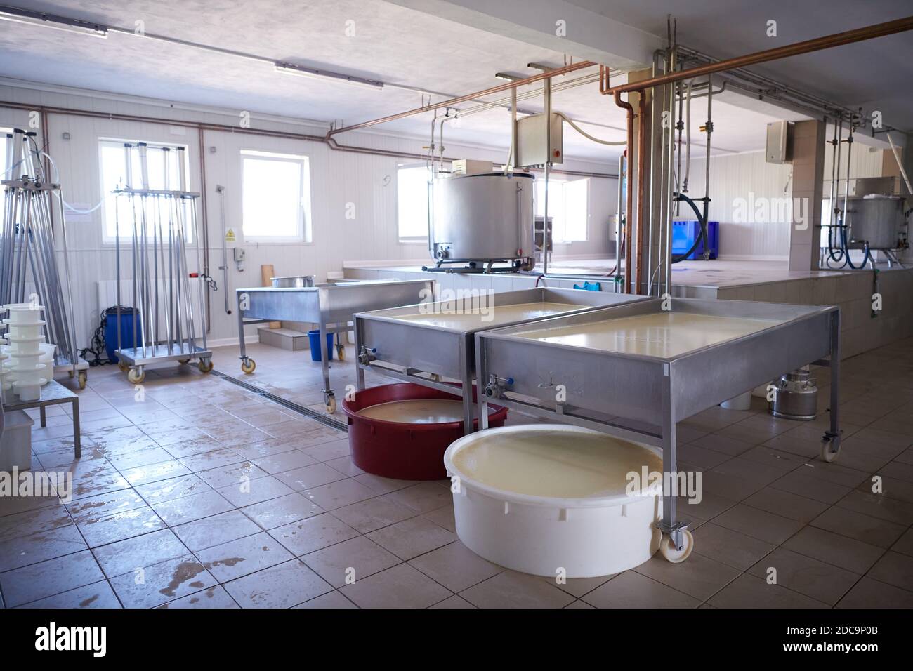 Cheese factory production shelves with aging old cheese Stock Photo - Alamy