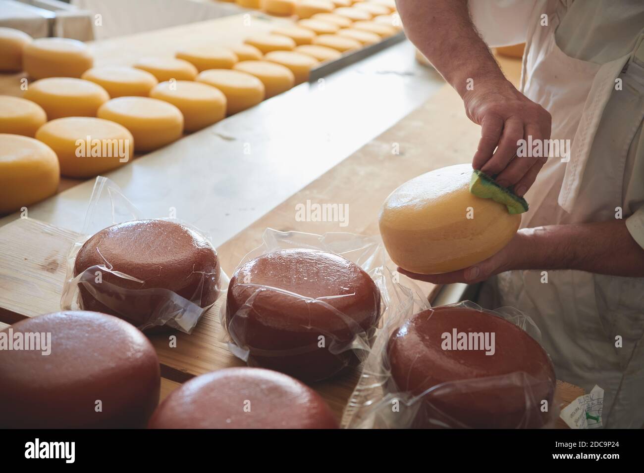 Cheese maker at local production factory Stock Photo - Alamy