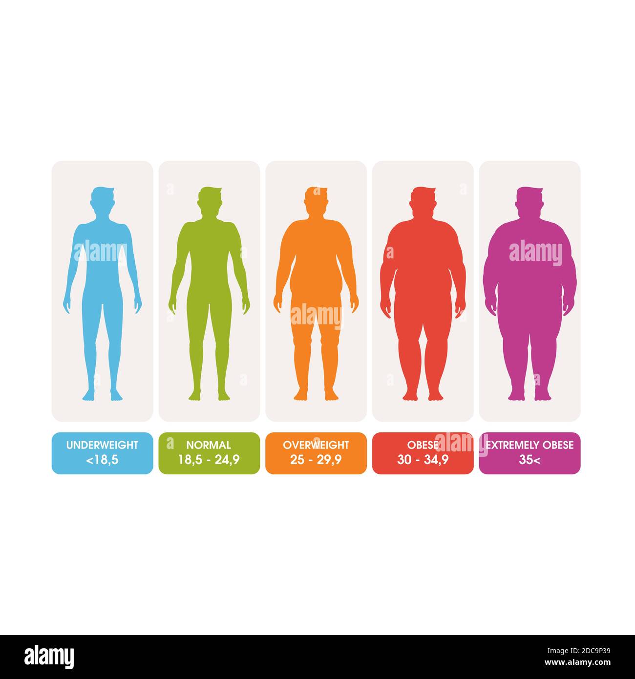 Body Mass Index Vector Illustration Design Template Stock Vector Image