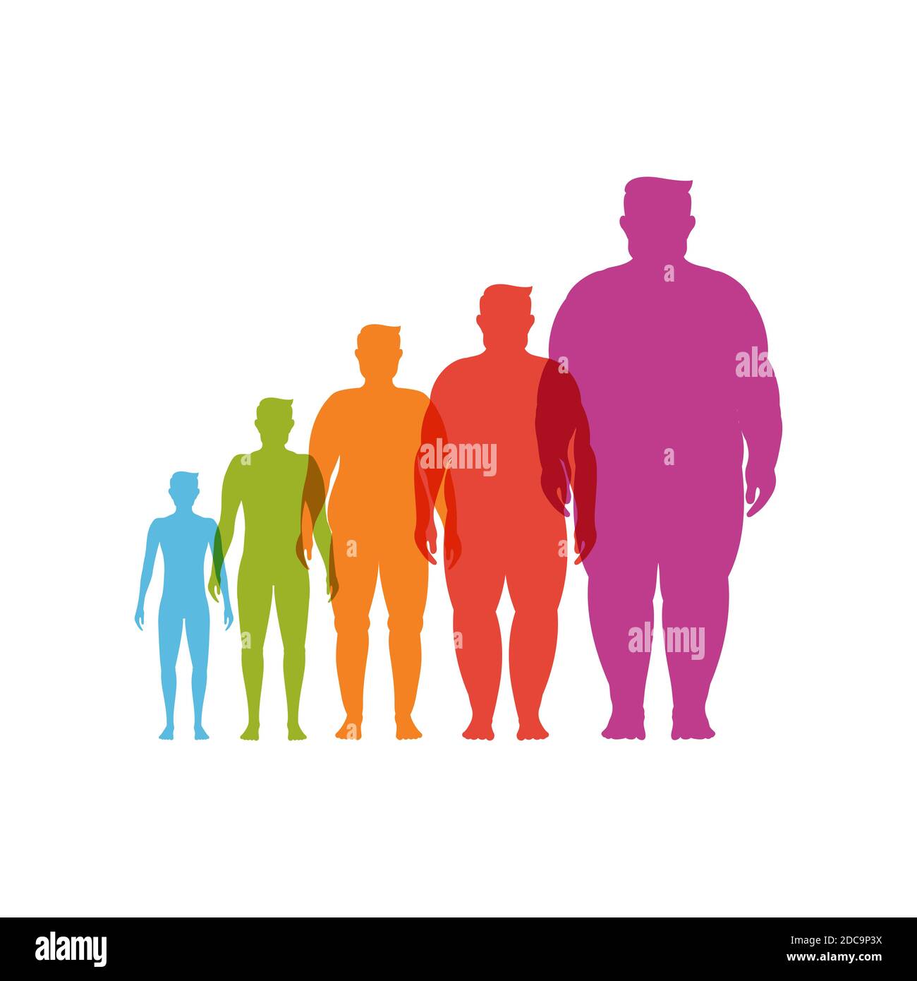 Body Mass Index Vector Illustration Design Template Stock Vector Image