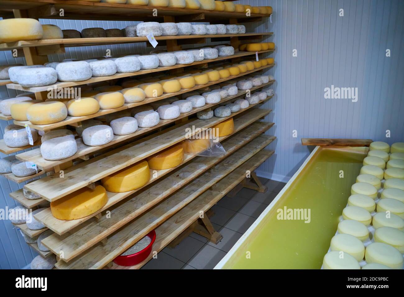 Cheese factory production shelves with aging old cheese Stock Photo - Alamy