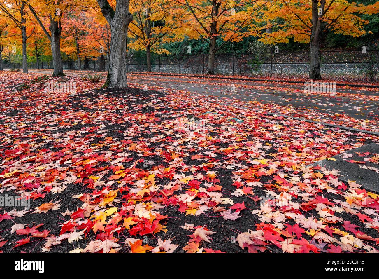Memorial at park hi-res stock photography and images - Alamy