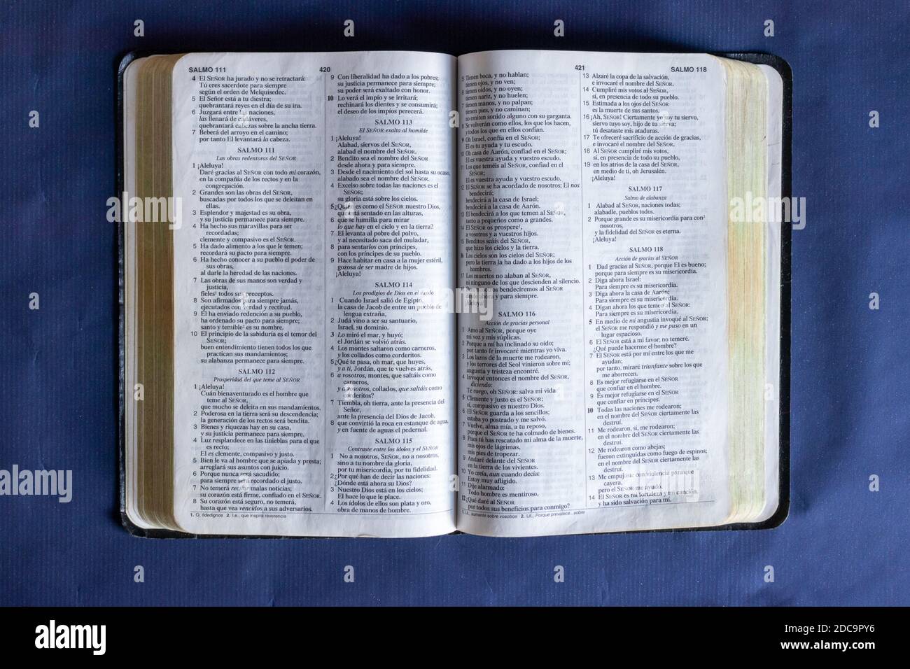 Holy bible book on a blue background Stock Photo - Alamy