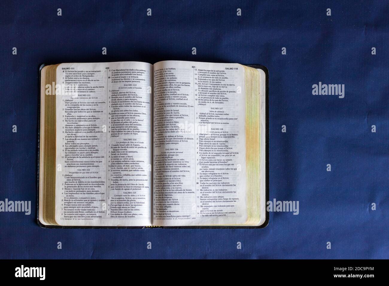 Believer reading bible book on hi-res stock photography and images - Alamy