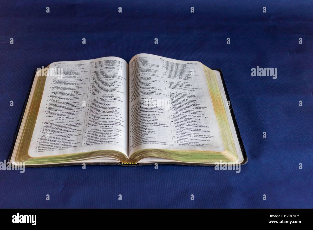 Holy bible book on a blue background Stock Photo - Alamy