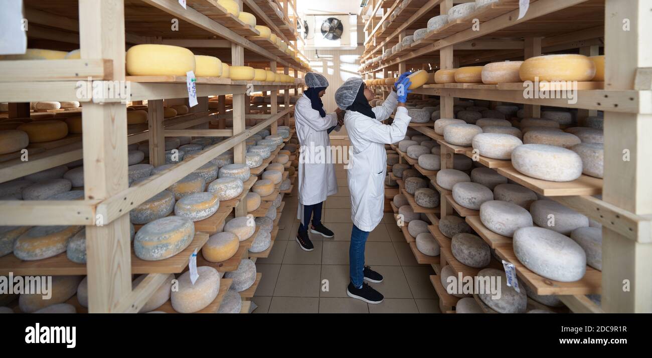 business woman team in local cheese production company Stock Photo - Alamy