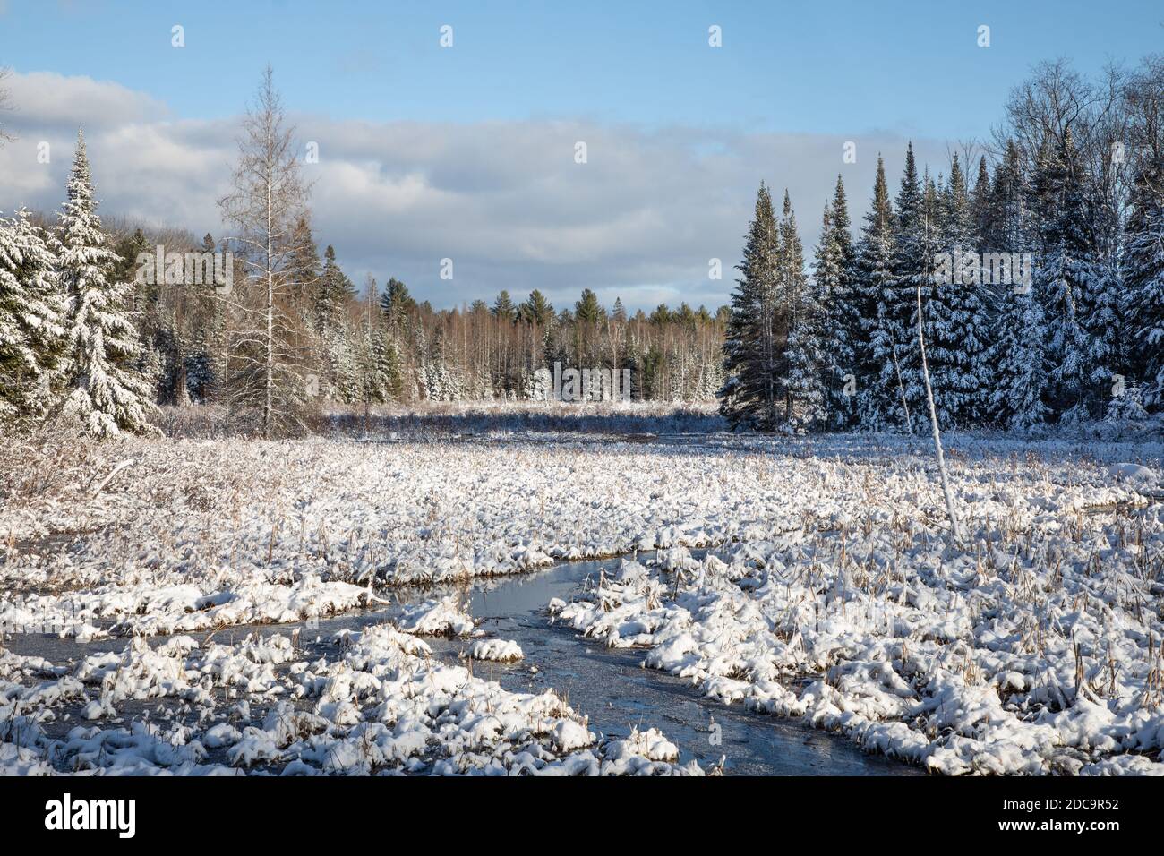 First snow in the marsh Stock Photo - Alamy