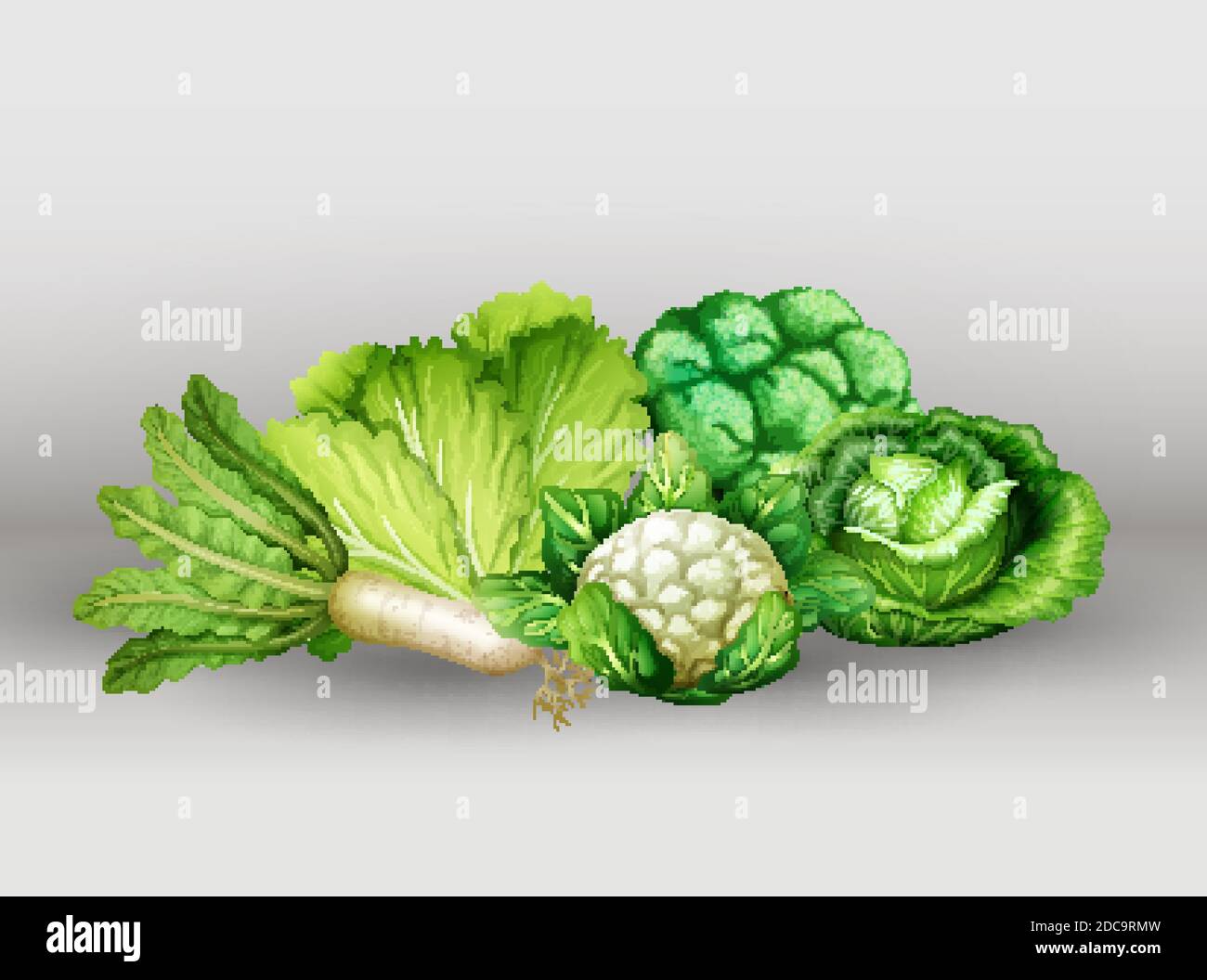 Many different vegetables in a group illustration Stock Vector Image ...