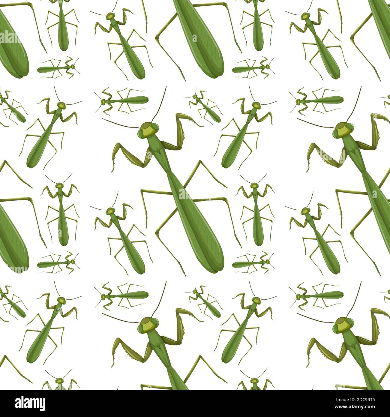 Mantis on seamless background illustration Stock Vector Image & Art - Alamy