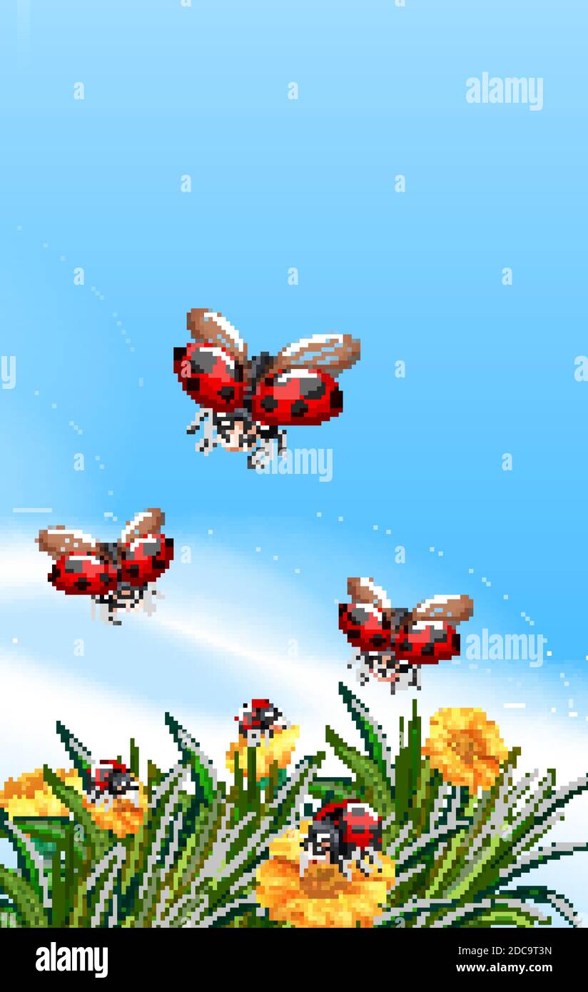 Blank scene with ladybugs in the garden with some flowers at daytime ...