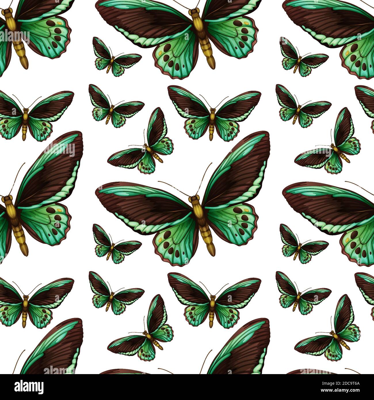 Green butterfly seamless background illustration Stock Vector Image ...