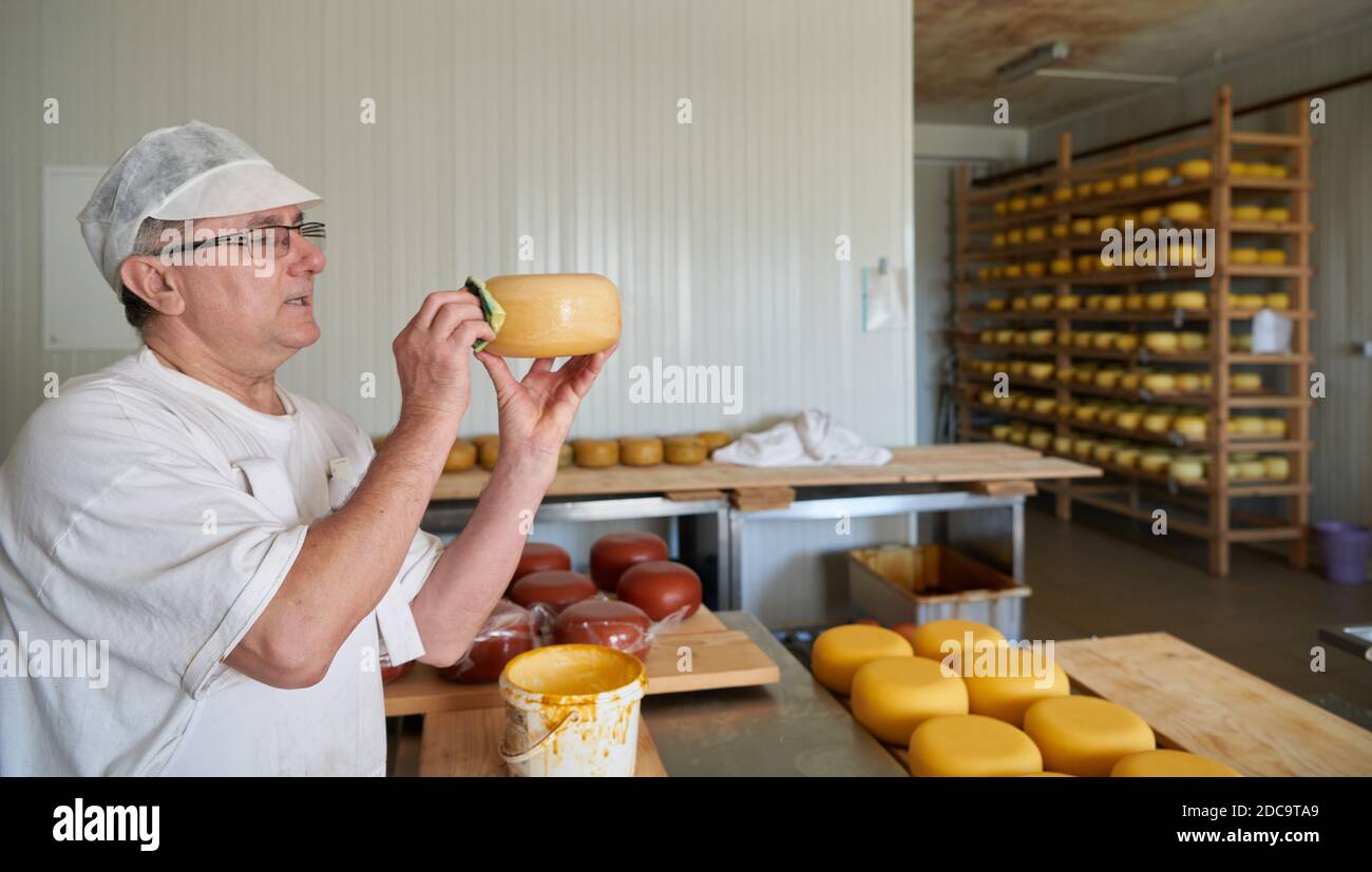 Cheese maker at local production factory Stock Photo - Alamy