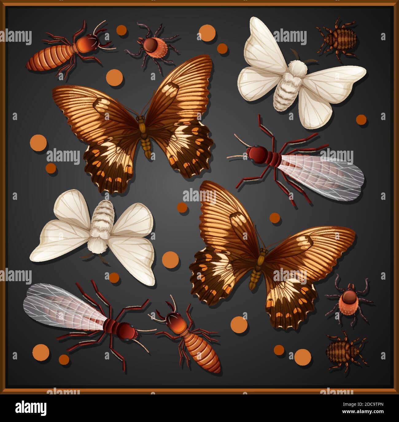 Set of different insects in wooden frame background illustration Stock ...