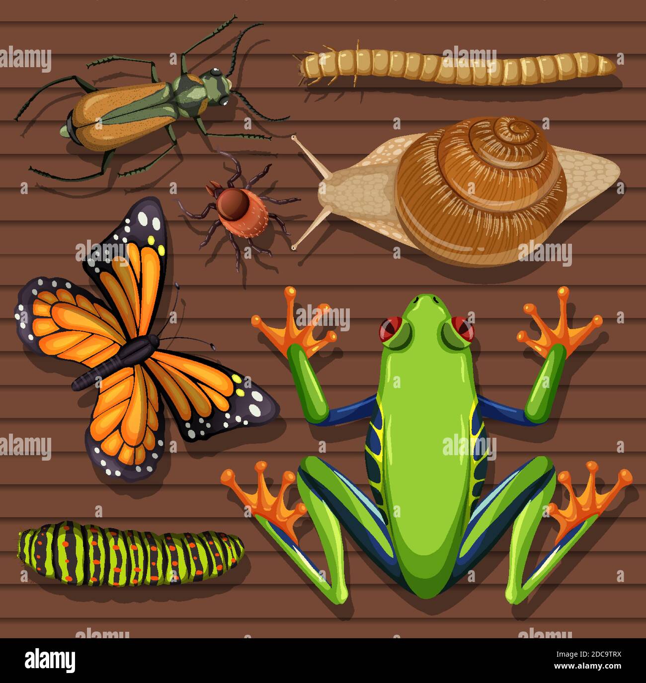 Set of different insects on wooden wallpaper background illustration ...