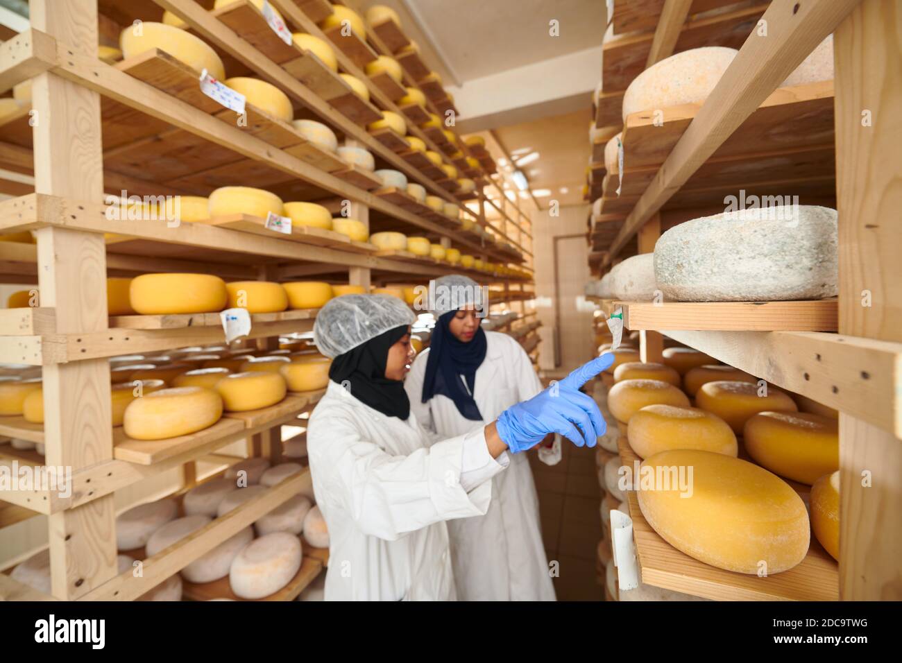 business woman team in local cheese production company Stock Photo - Alamy