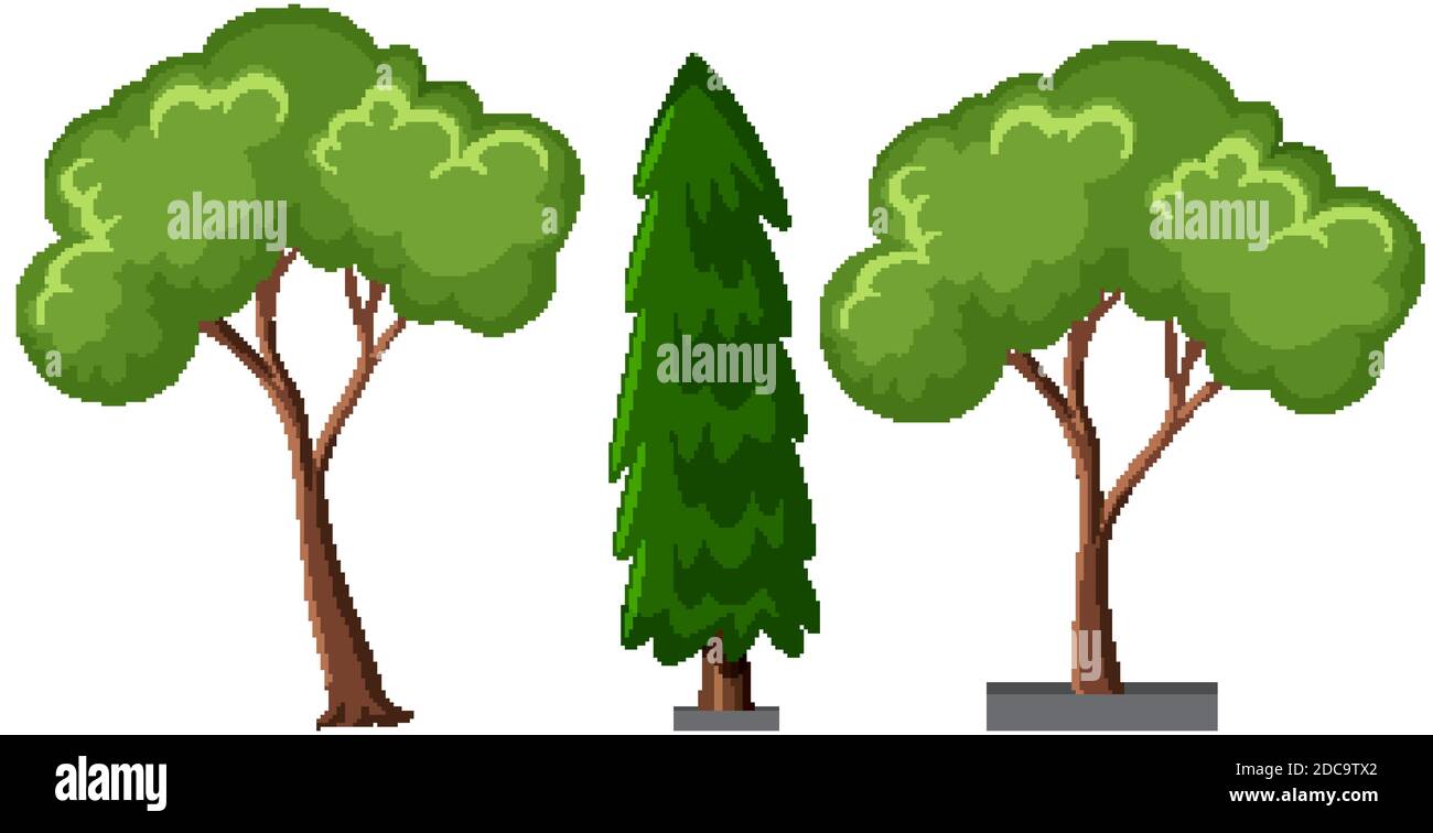 Set of different trees isolated on white background illustration Stock ...