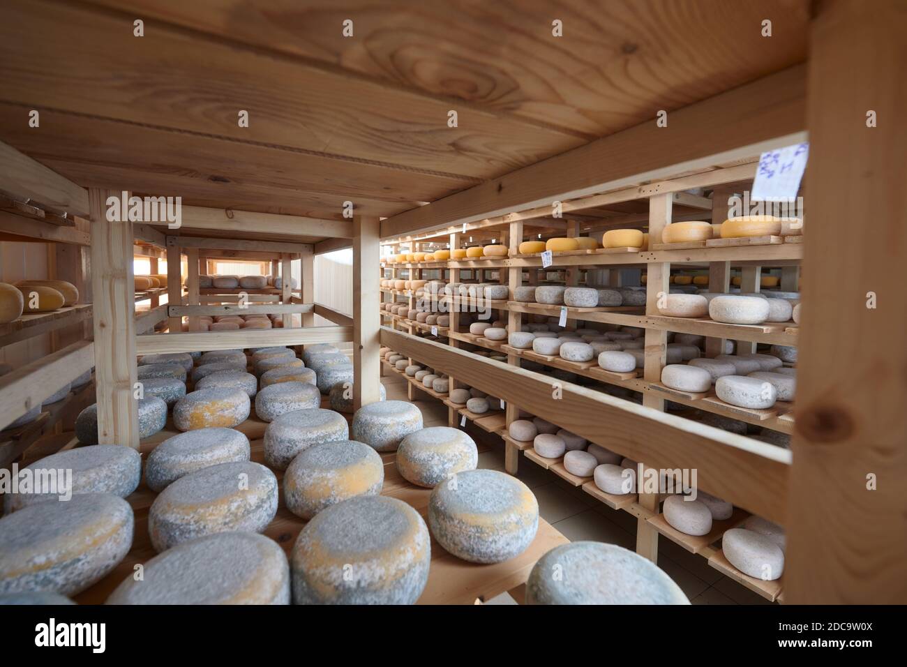 Cheese factory production shelves with aging old cheese Stock Photo - Alamy