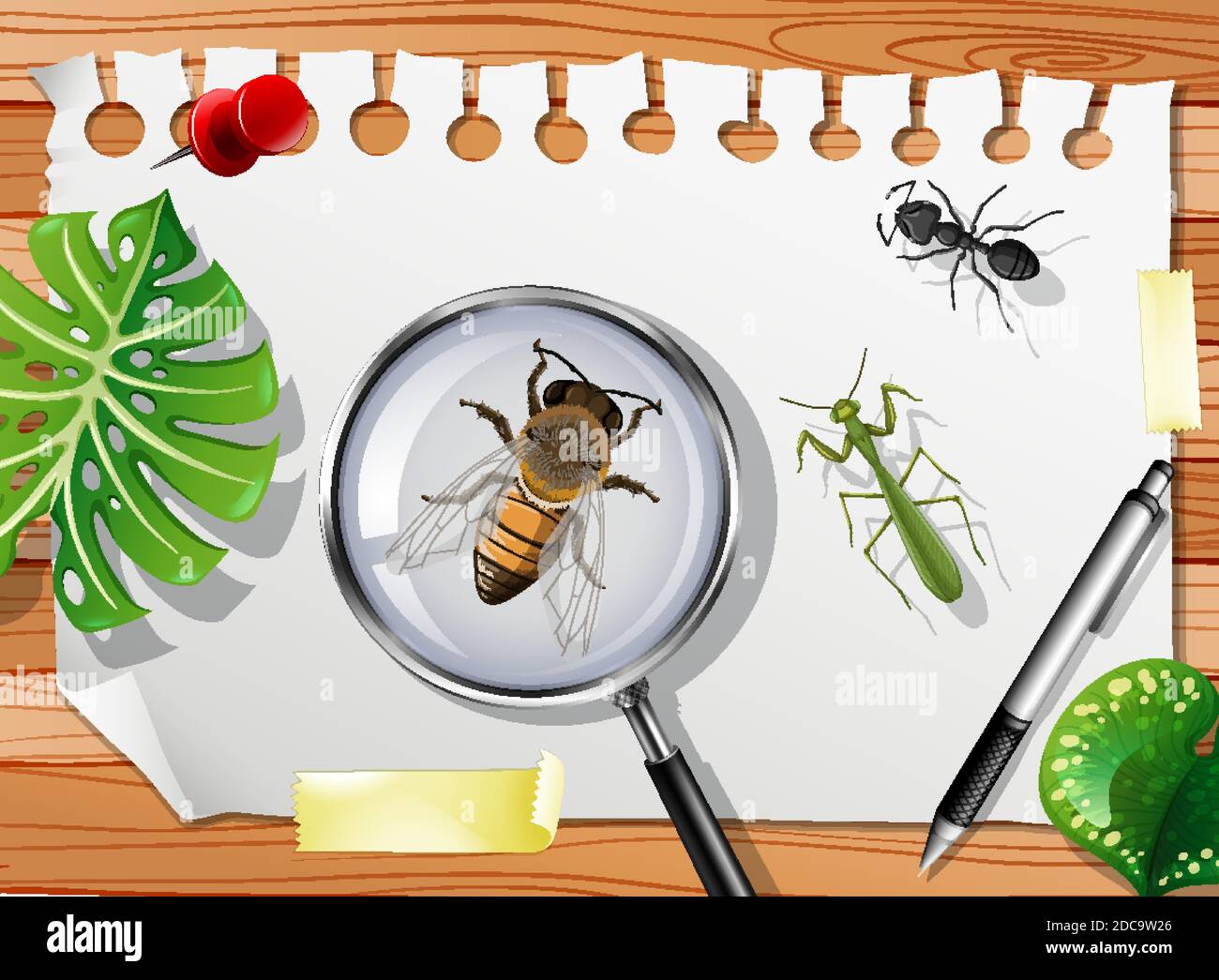 Top table science Stock Vector Images - Alamy