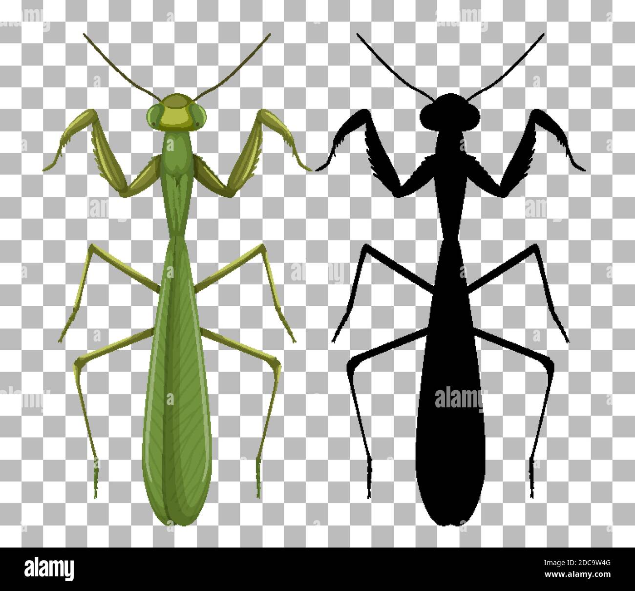 Mantis legs Stock Vector Images - Alamy