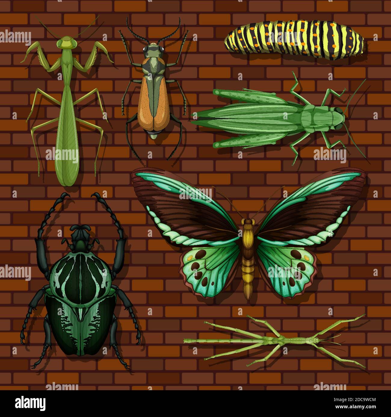 Set of different insects on wooden wallpaper background illustration ...