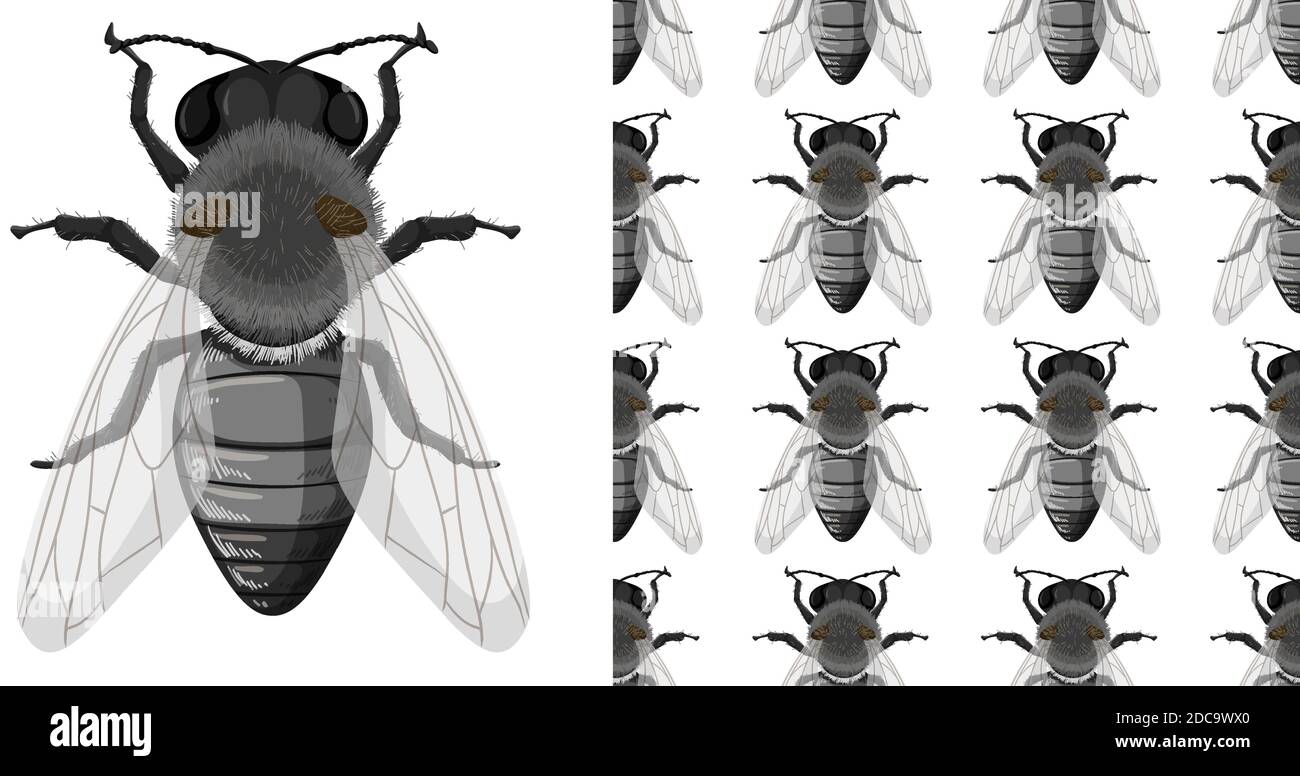 Fly insects isolated on white background and seamless illustration ...