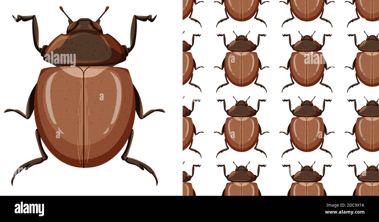 Bertle insect and seamless background illustration Stock Vector Image ...