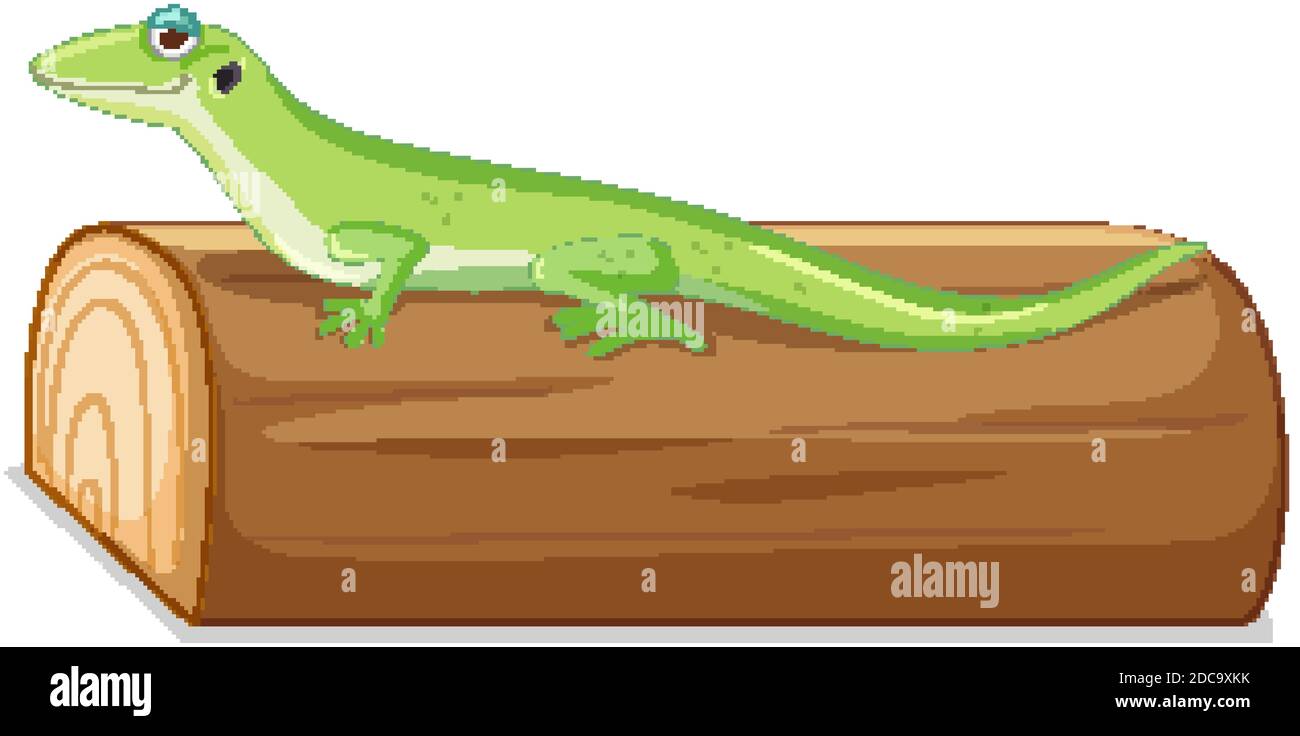Lizard on the tree Stock Vector Images - Alamy